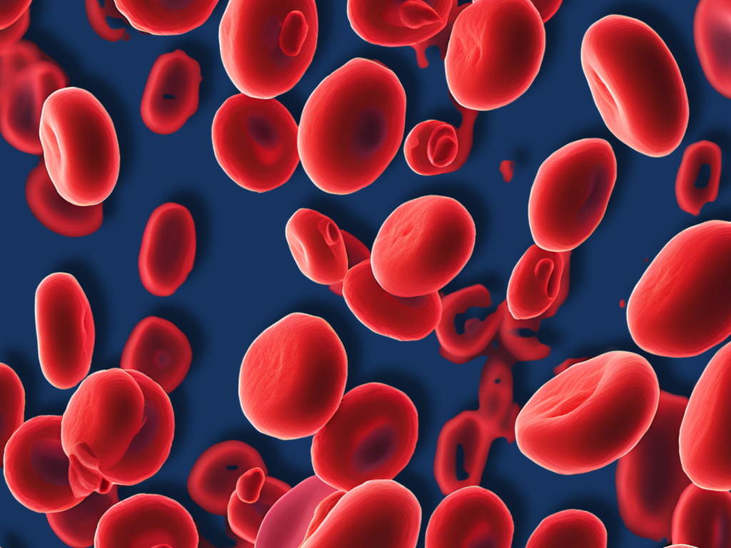 The Scenic Route to Success - Dragon School Oxford